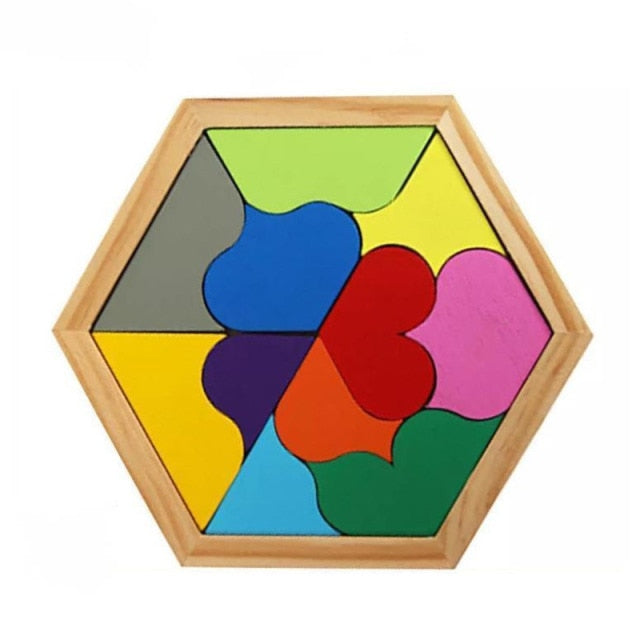 Hexagonal Wooden Puzzles IQ Game – Magical Little Minds